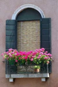 Flowery Balcony Ideas with Colorful Blossom