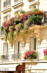 Flowery Balcony Ideas with Colorful Blossom