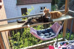 Cat-Friendly Balcony: Amusing & Safe Decoration Ideas