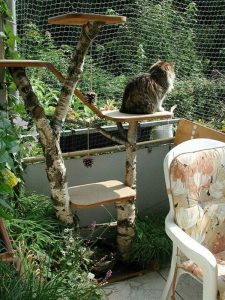 Cat-Friendly Balcony: Amusing & Safe Decoration Ideas