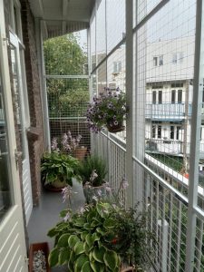 Cat-Friendly Balcony: Amusing & Safe Decoration Ideas