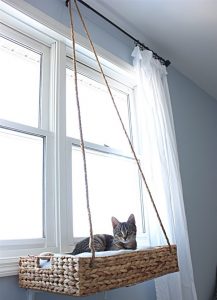 Cat Window Box, Cat Solarium & Cat Window Sill Perch