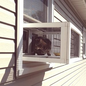 Cat Window Box, Cat Solarium & Cat Window Sill Perch