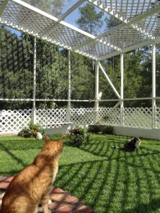 Cat Fencing & Catio Ideas: Secured Cat Garden Design