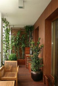 Balcony Ivy Ideas: Amazing Climbing Plants