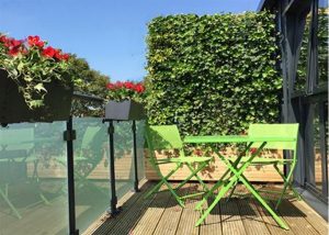 Balcony Ivy Ideas: Amazing Climbing Plants