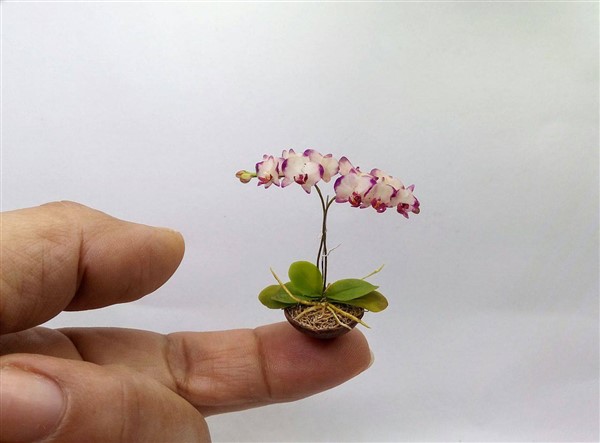A Gorgeous Example for Miniature Decoration: Colorful Orchid - Unique ...