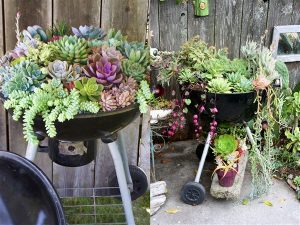 Bbq Grill Planter: DIY Practical & Repurposed Ideas