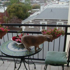 Balcony Pet Fencing: Secure & Protective Ideas