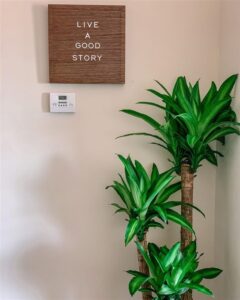 Corn Plant (Dracaena Fragrans): Care and Growing Guide