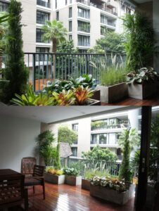 Tropical Balcony Ideas: Create A Greener Area!