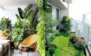 Tropical Balcony Ideas: Create A Greener Area!