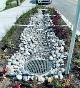 Rainscaping Ideas: Useful Methods To Manage Rainwaters In Gardens