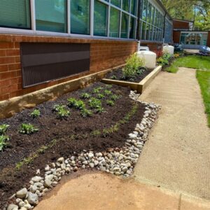 Rainscaping Ideas: Useful Methods To Manage Rainwaters In Gardens