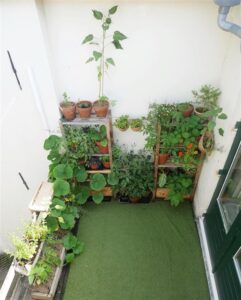 Urban Balcony Garden Ideas That Feel Like In Nature