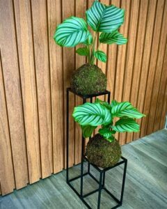 How to Make a Kokedama: Replace Flower Pots with Moss Balls?